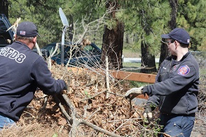 Debris Collection Day – Spokane County Fire District 8
